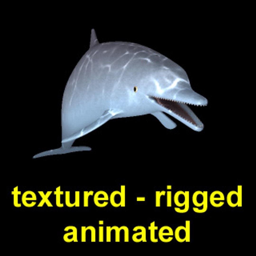 Dolphin Rigged Caustics 3d Max