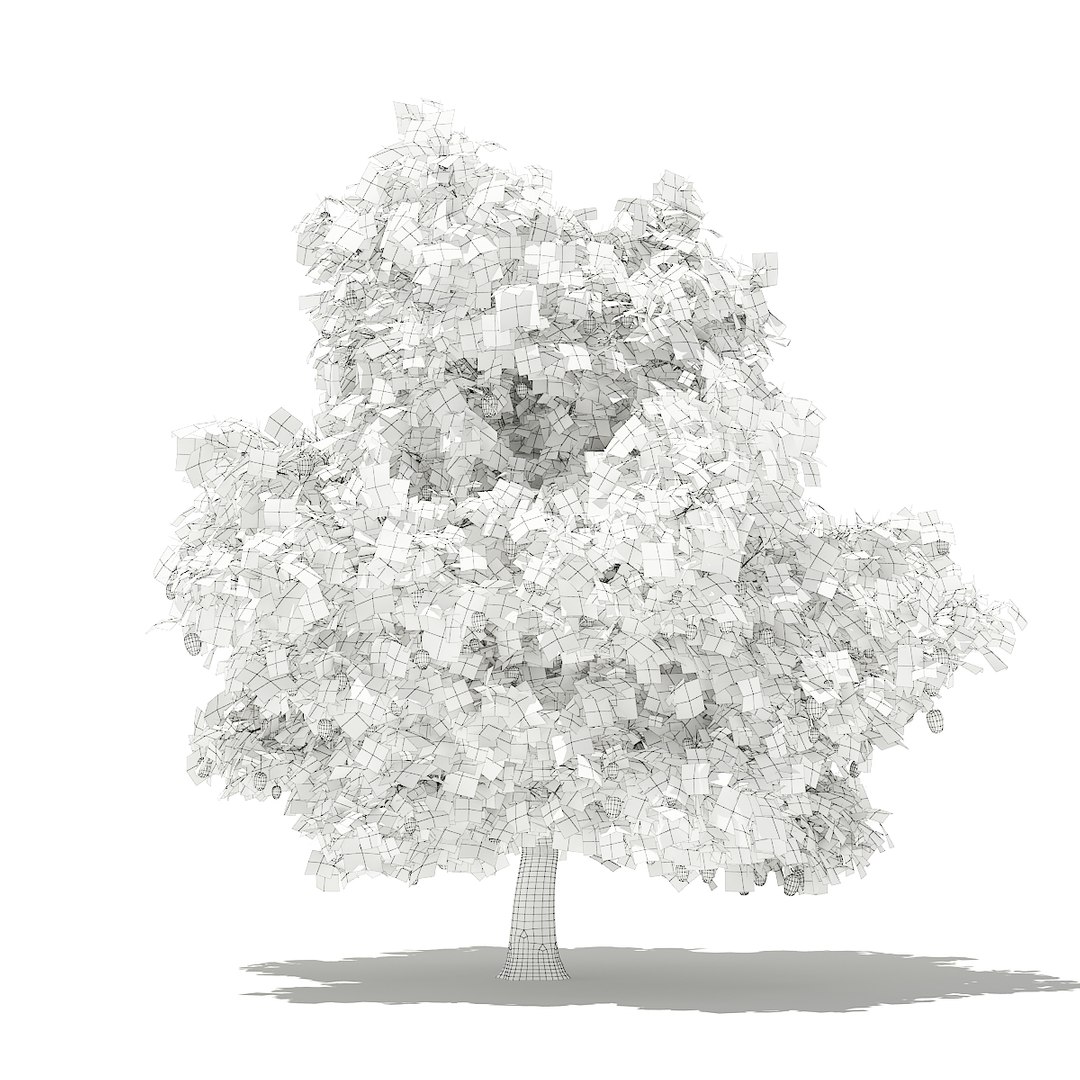 Mango Tree Fruits 4 3D Model - TurboSquid 1306355