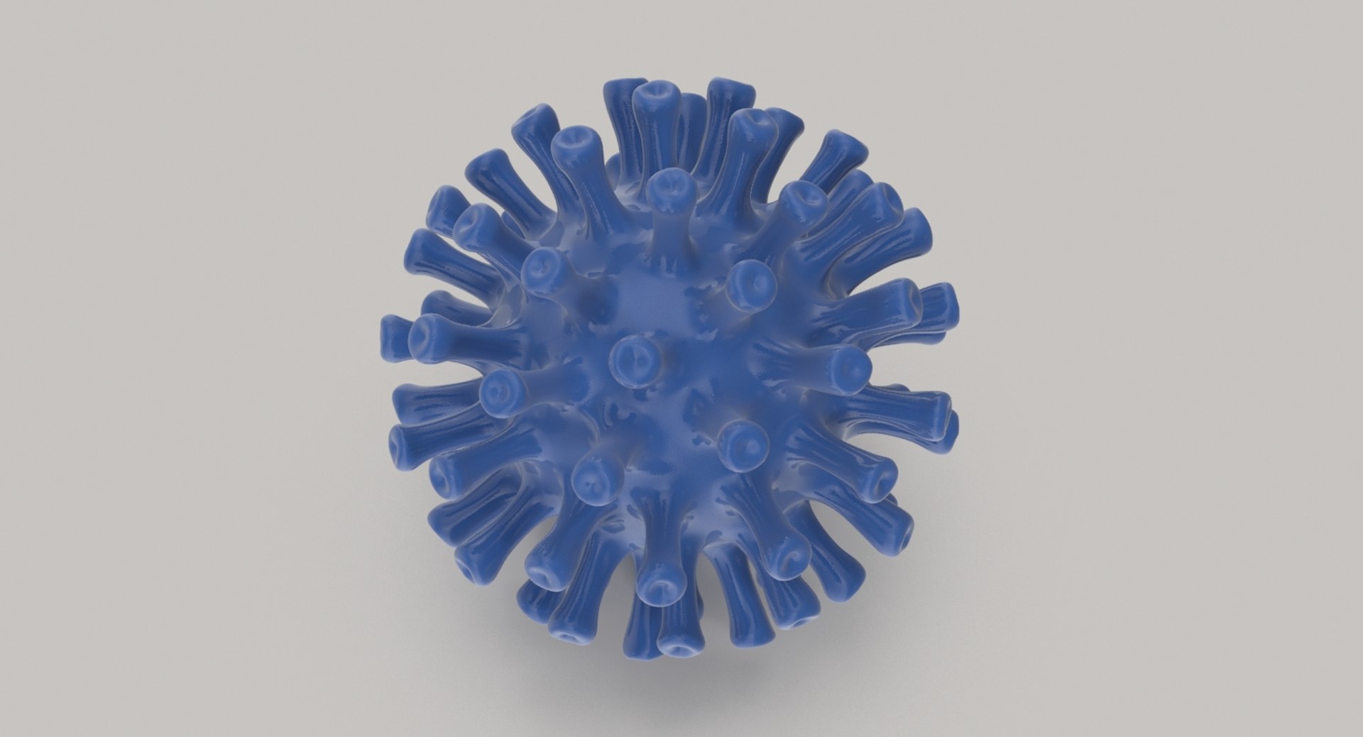 Herpes Virus 3d Model