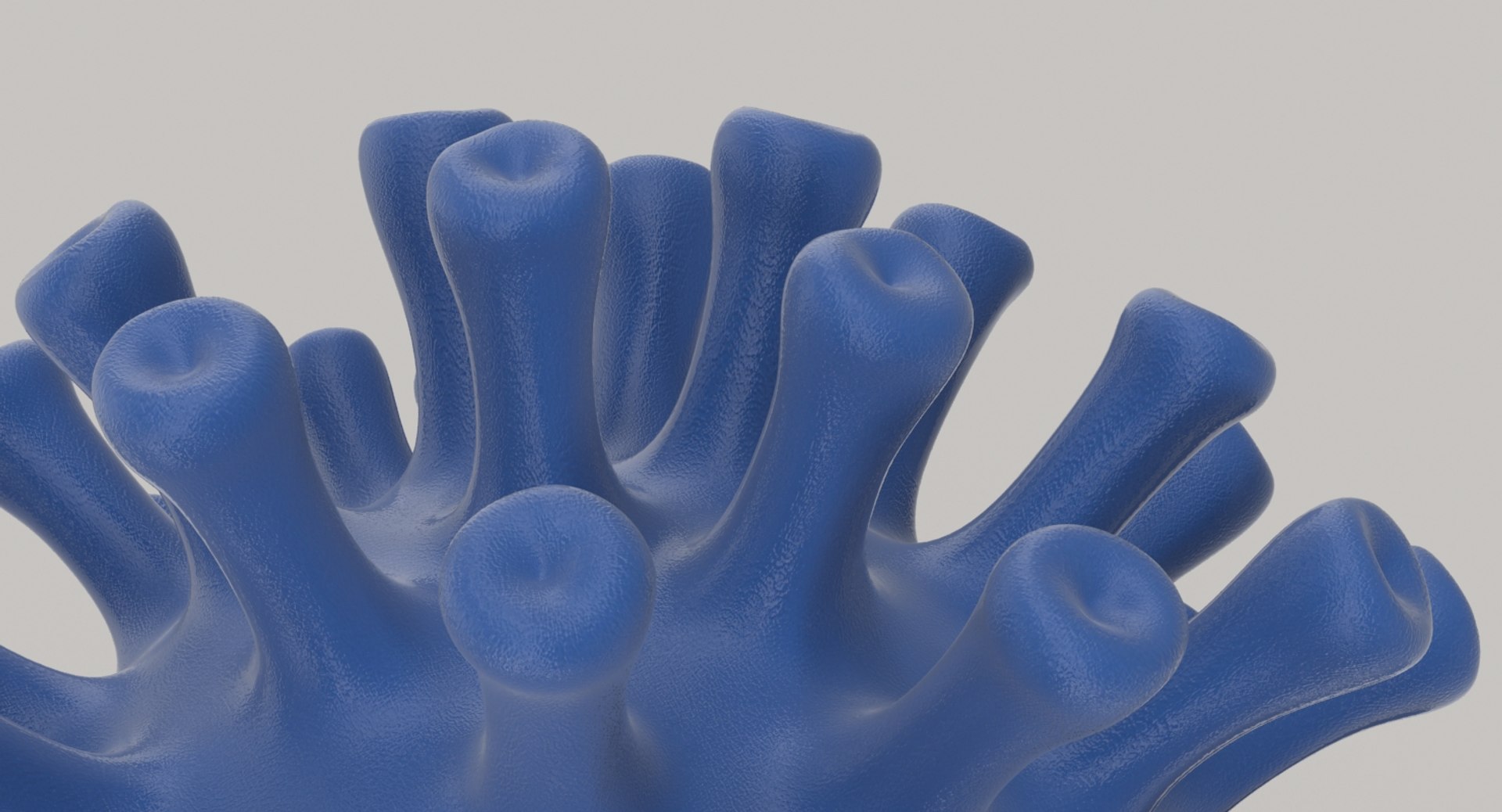 Herpes Virus 3d Model