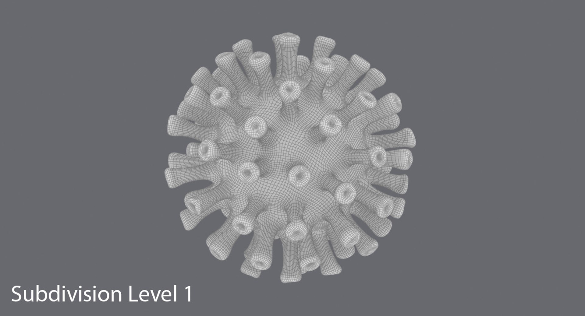 Herpes Virus 3d Model