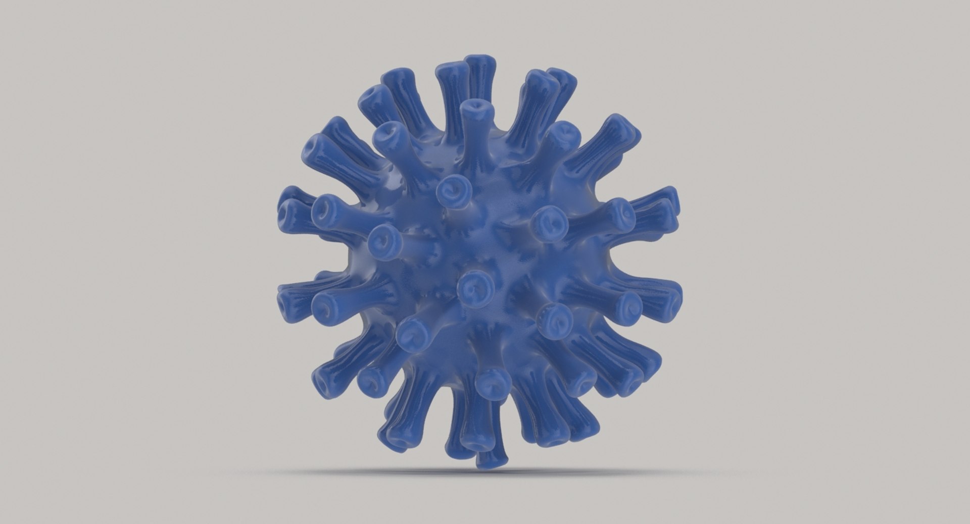 Herpes Virus 3d Model
