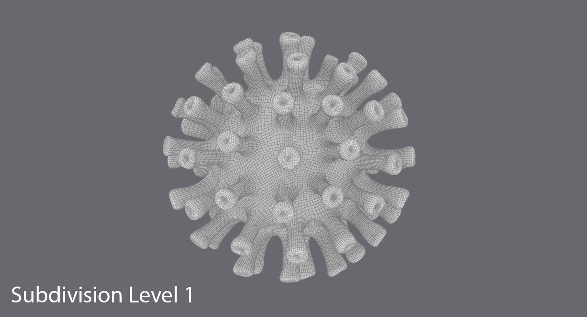 Herpes Virus 3d Model