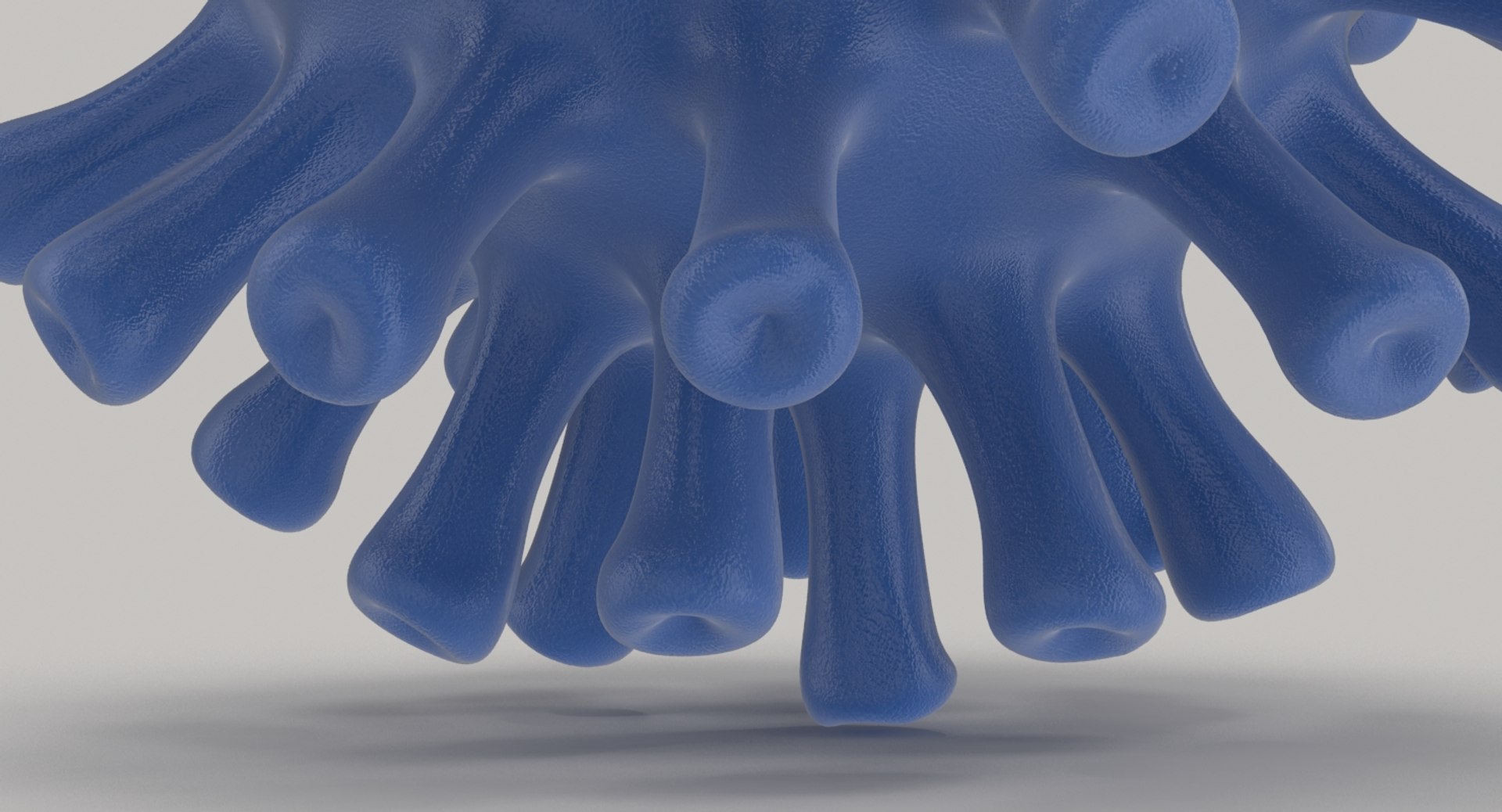 Herpes Virus 3d Model