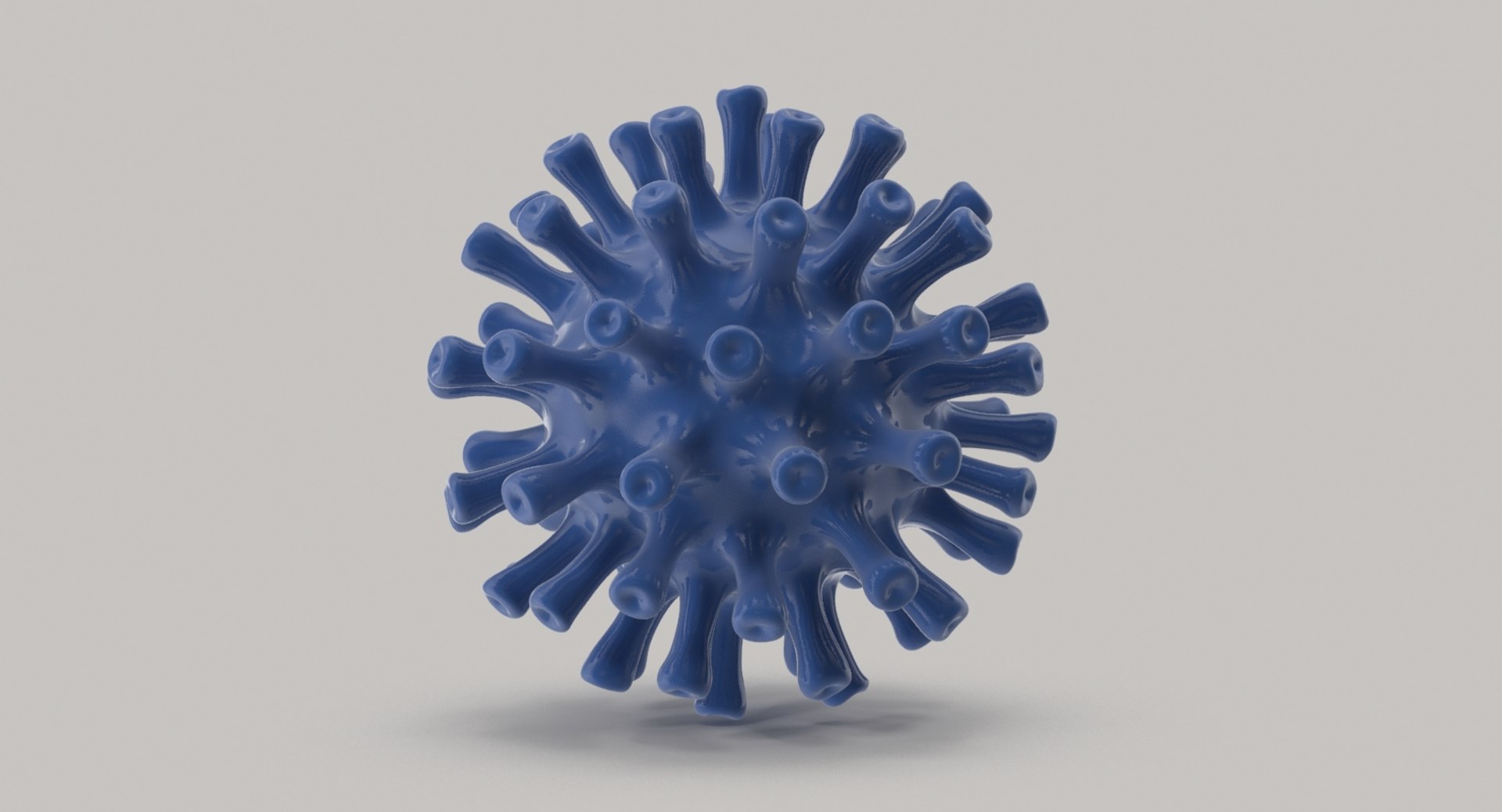 Herpes Virus 3d Model