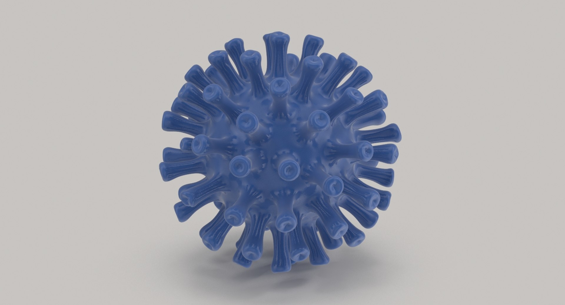 Herpes Virus 3d Model