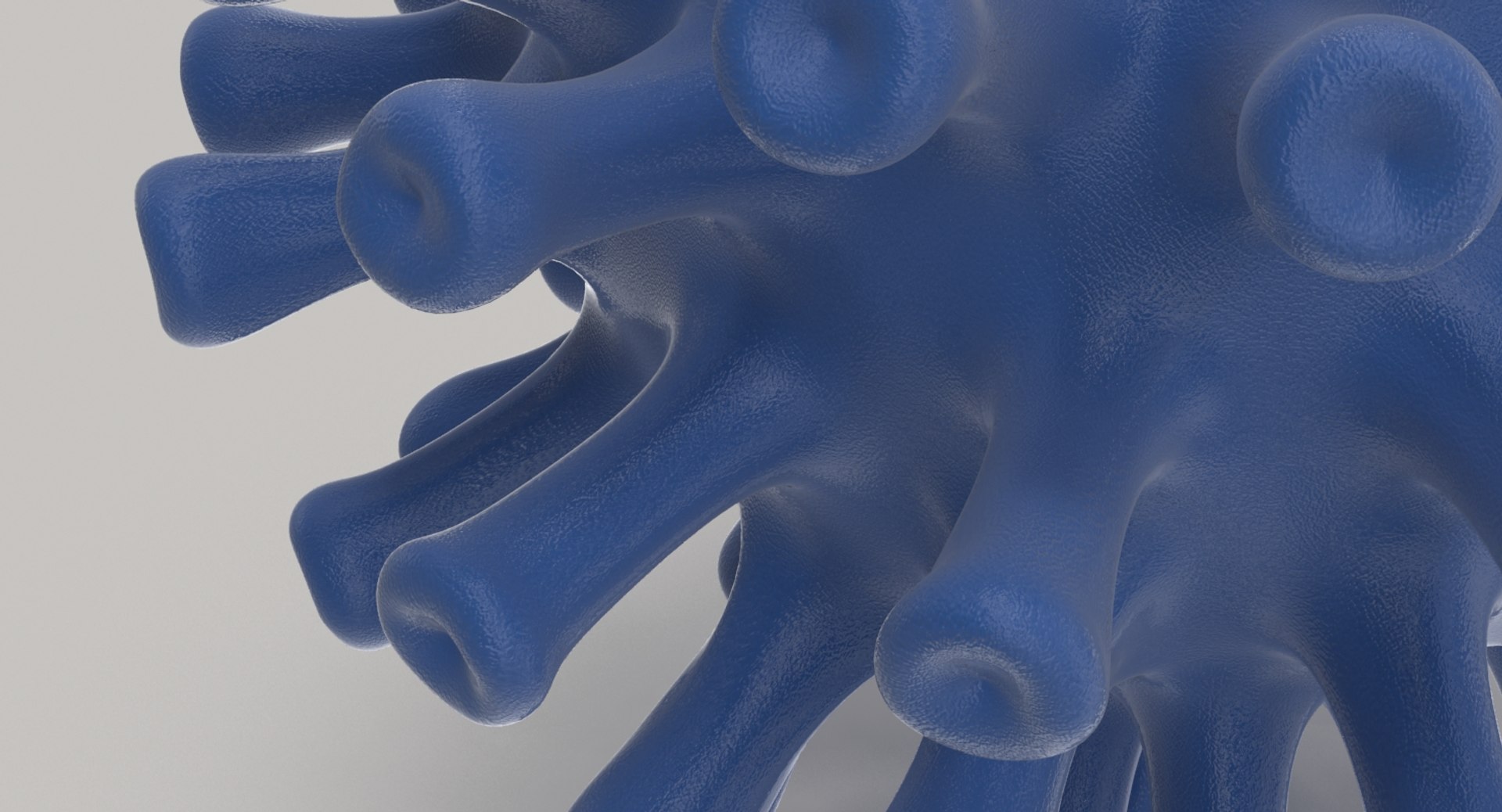 Herpes Virus 3d Model