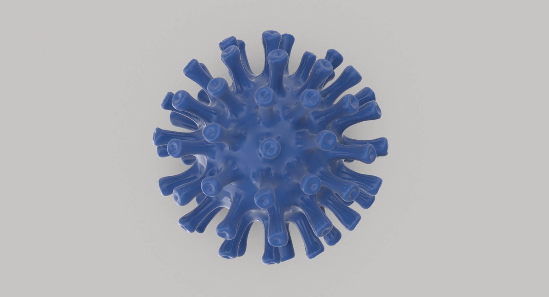 Herpes Virus 3d Model