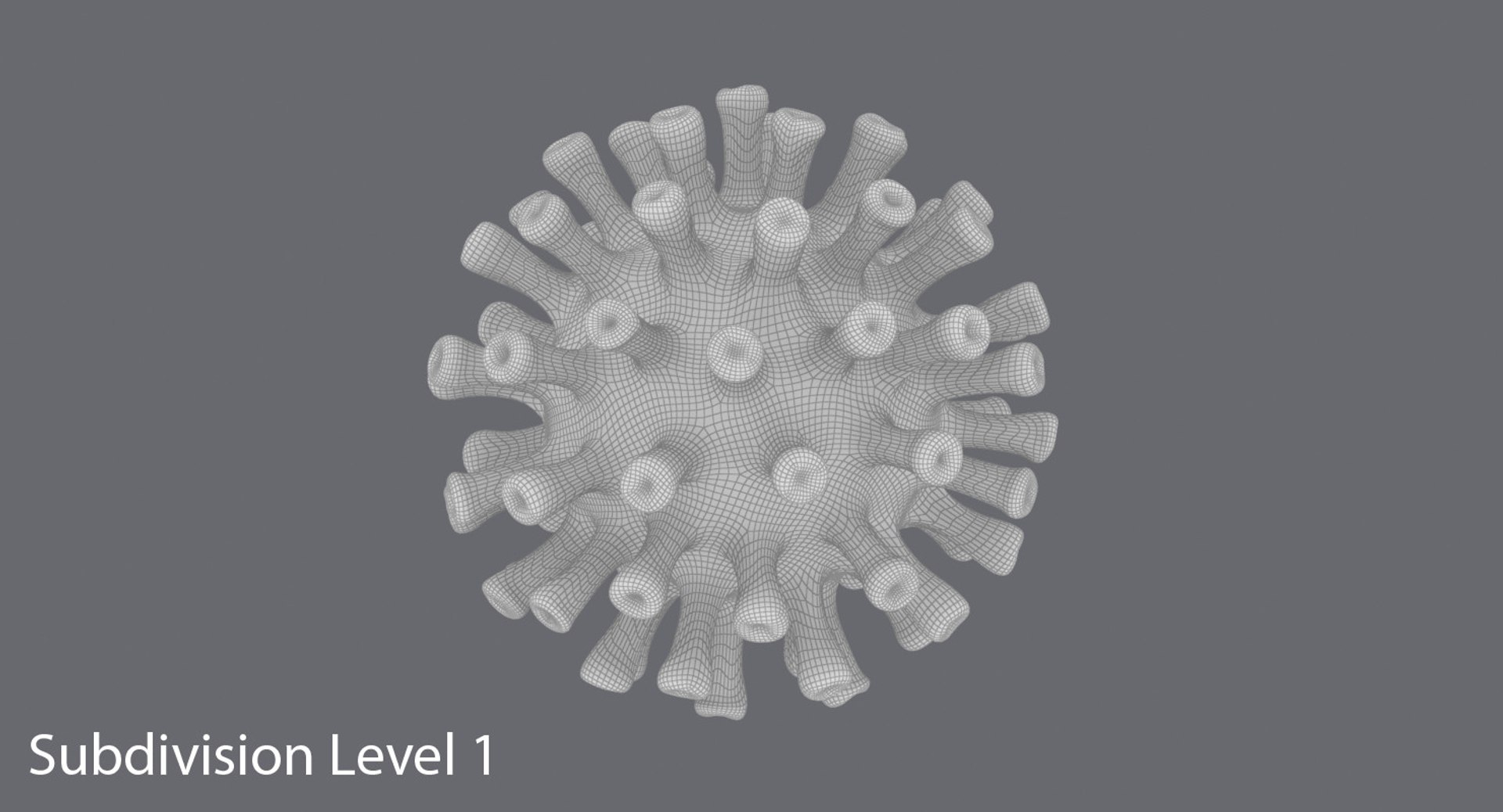 Herpes Virus 3d Model