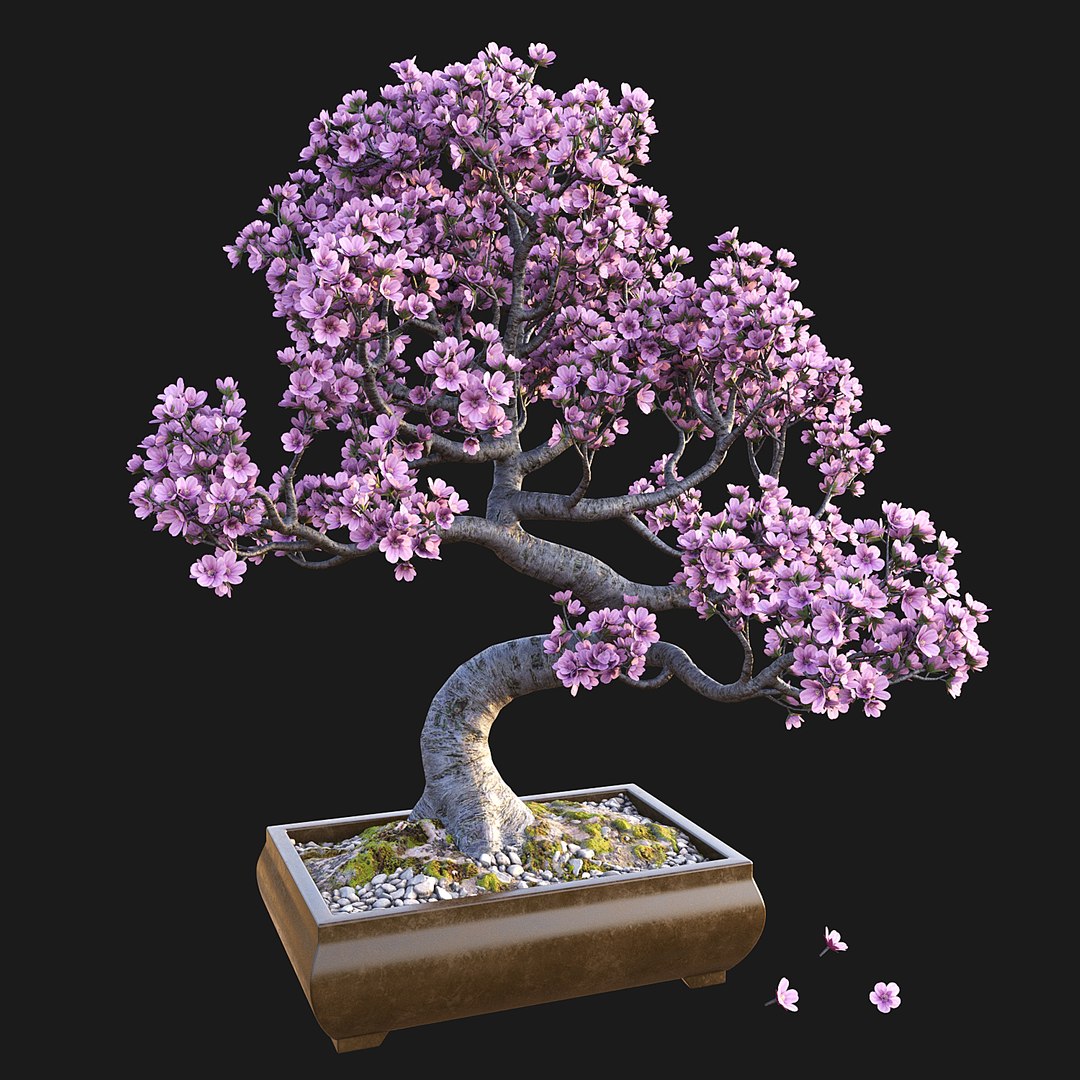 3D Sakura Bonsai Model - TurboSquid 2192134