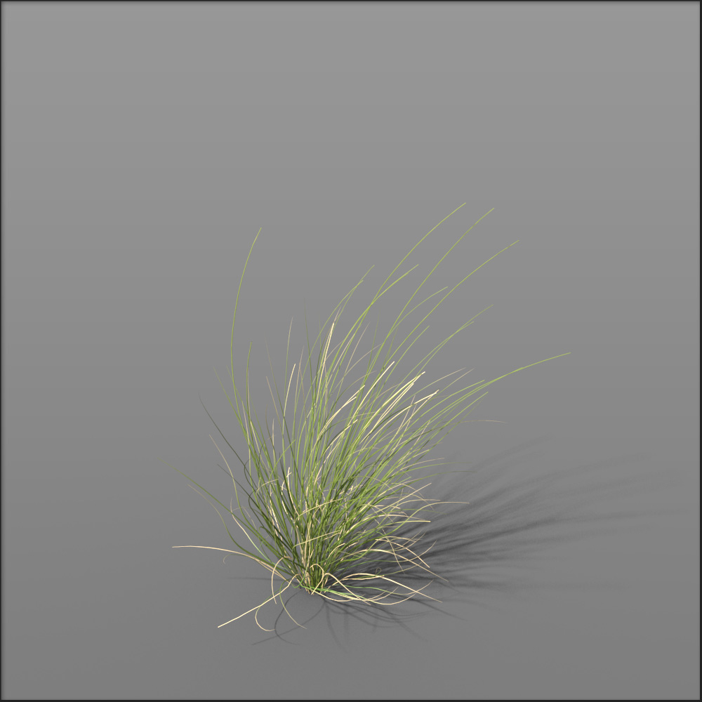 grass dune grass2 3d model