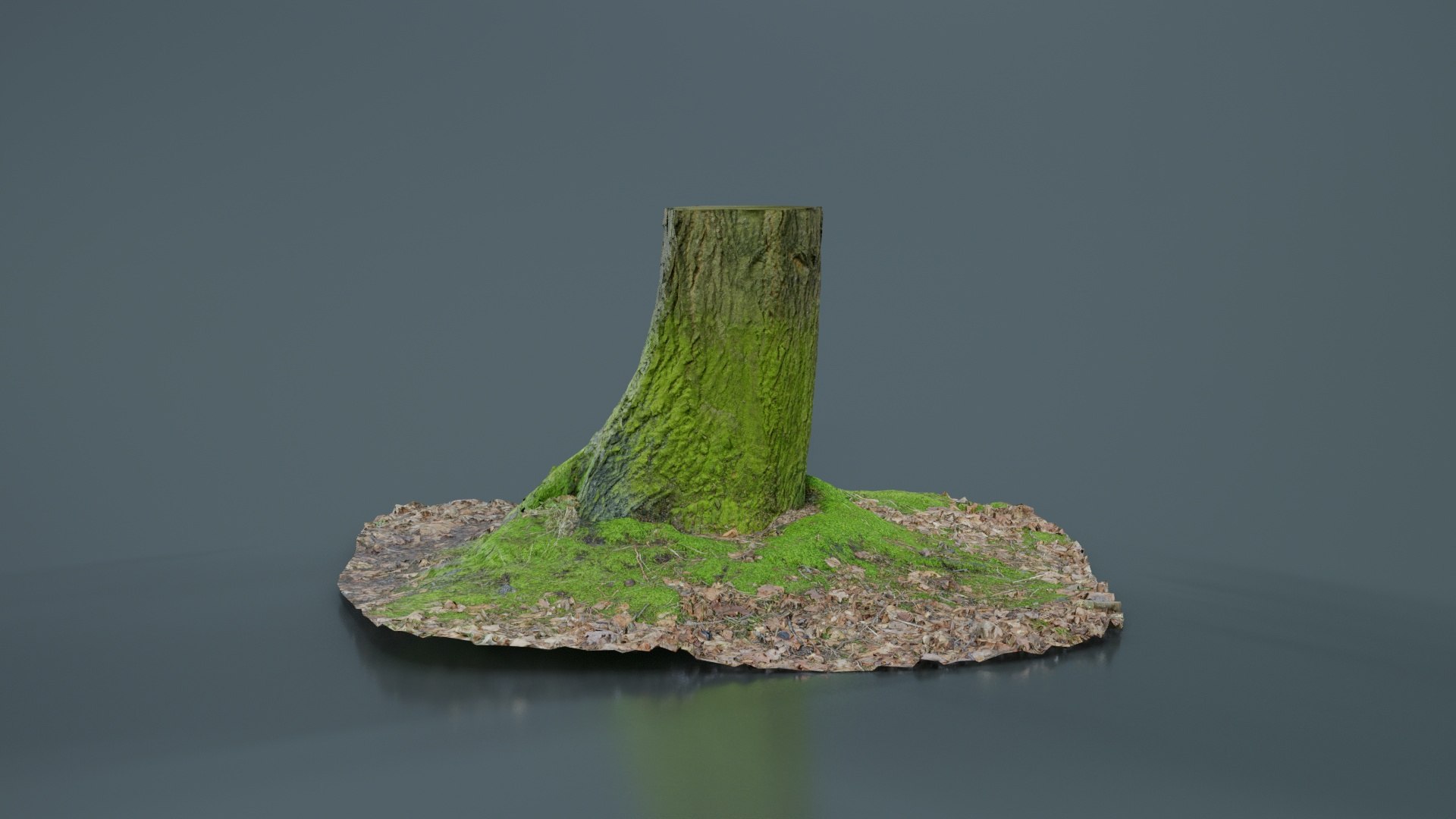 Moss Bark Tree Stump Remastered 3D Model - TurboSquid 2363151