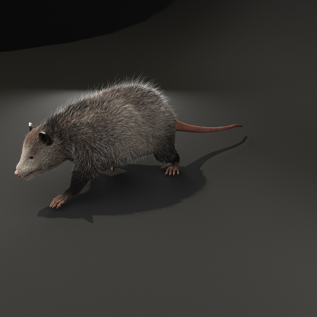 3ds max possum fur pose 1