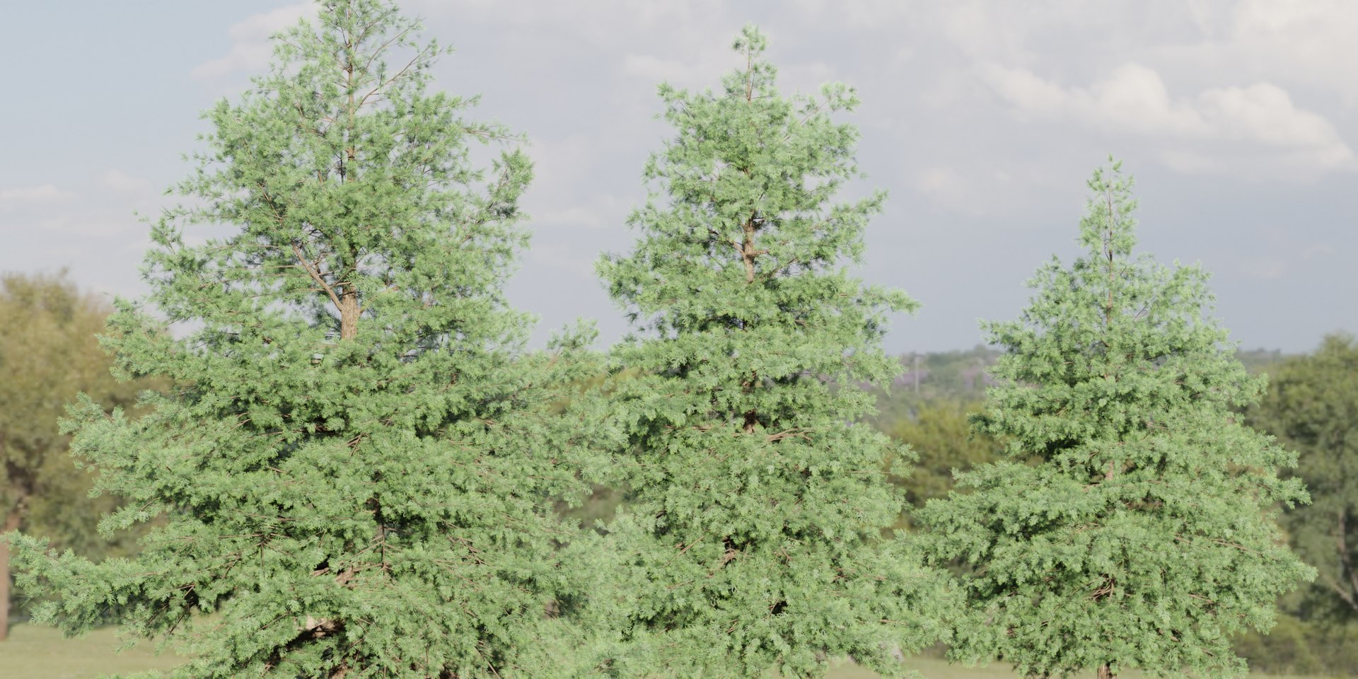 Conifer Trees Vol 78-Blender-3dmodel Model - TurboSquid 2241722