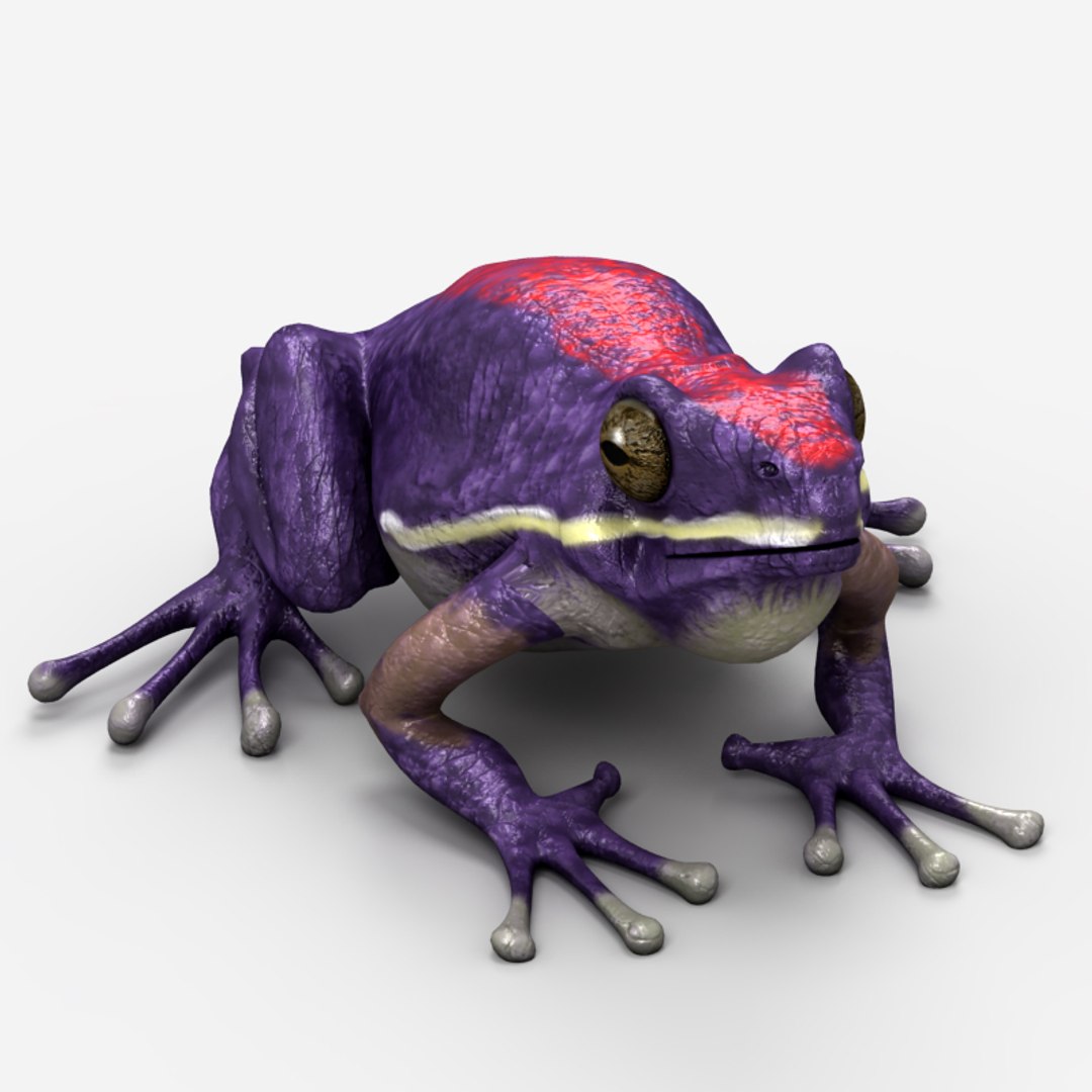 3d Frog