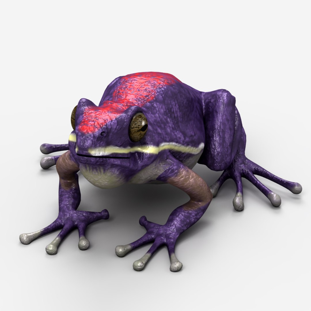 3d Frog