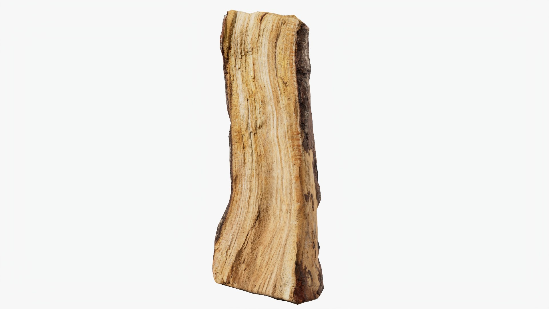 Scanned Tree Wood Collection 3D Model - TurboSquid 2435006