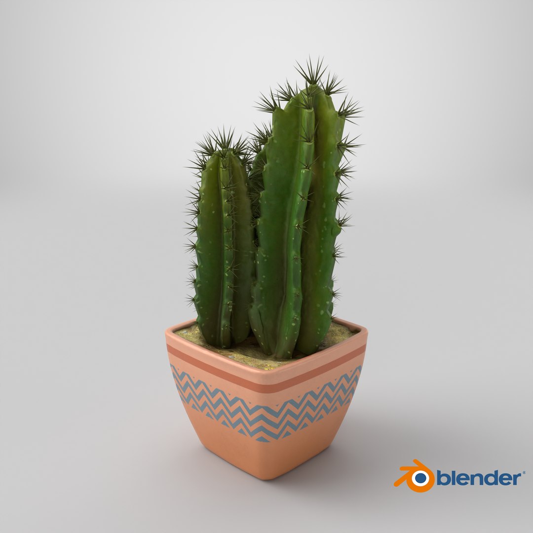 Cactus 01 A 3D Model - TurboSquid 1898139