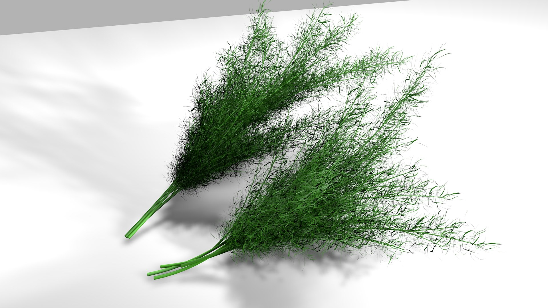 Dill Model - TurboSquid 1545833