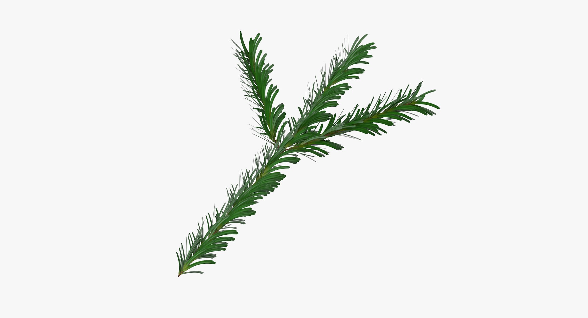 max pine tree sprig