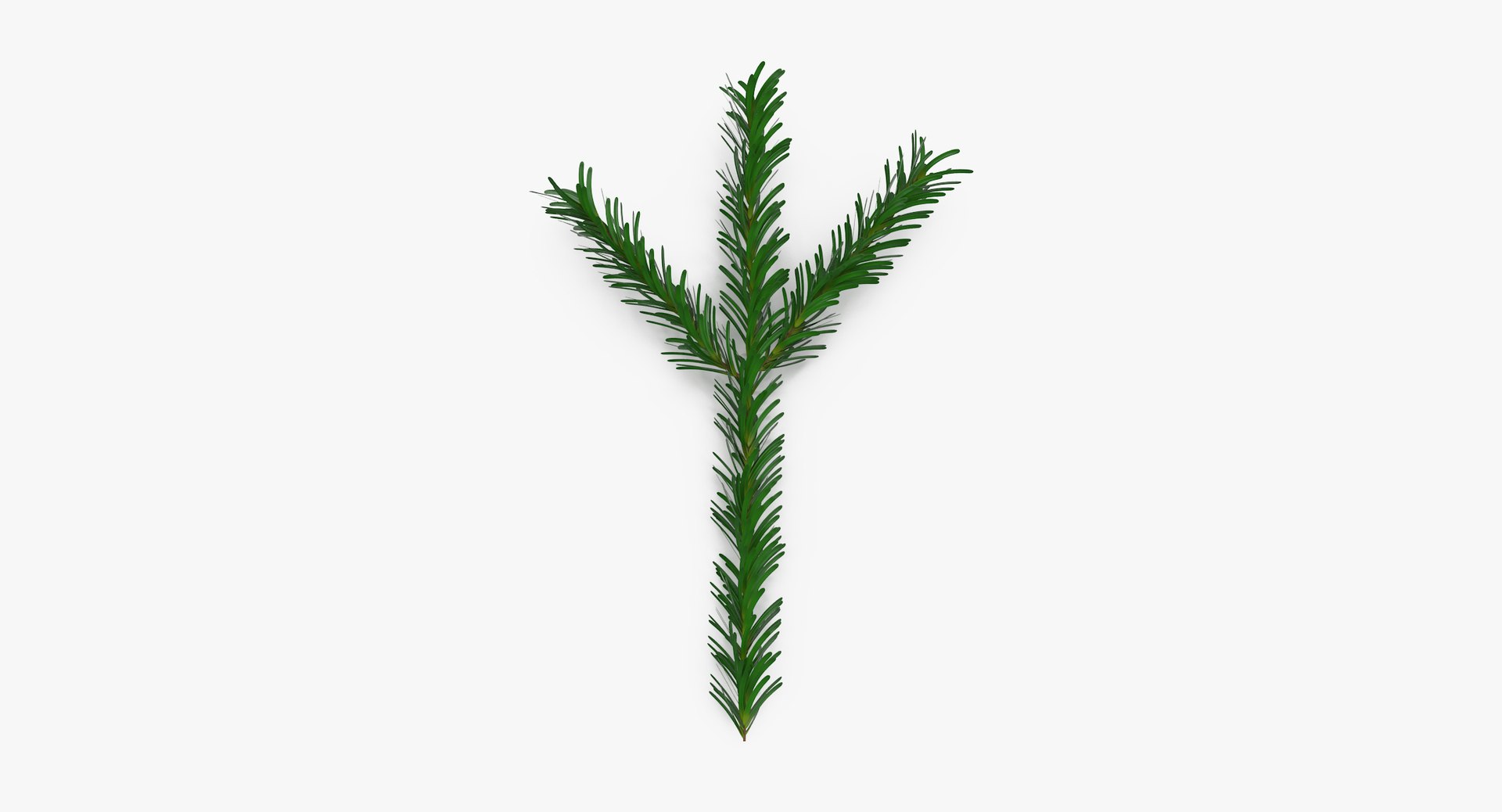 max pine tree sprig