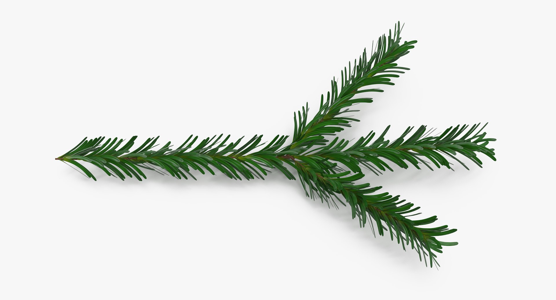 max pine tree sprig