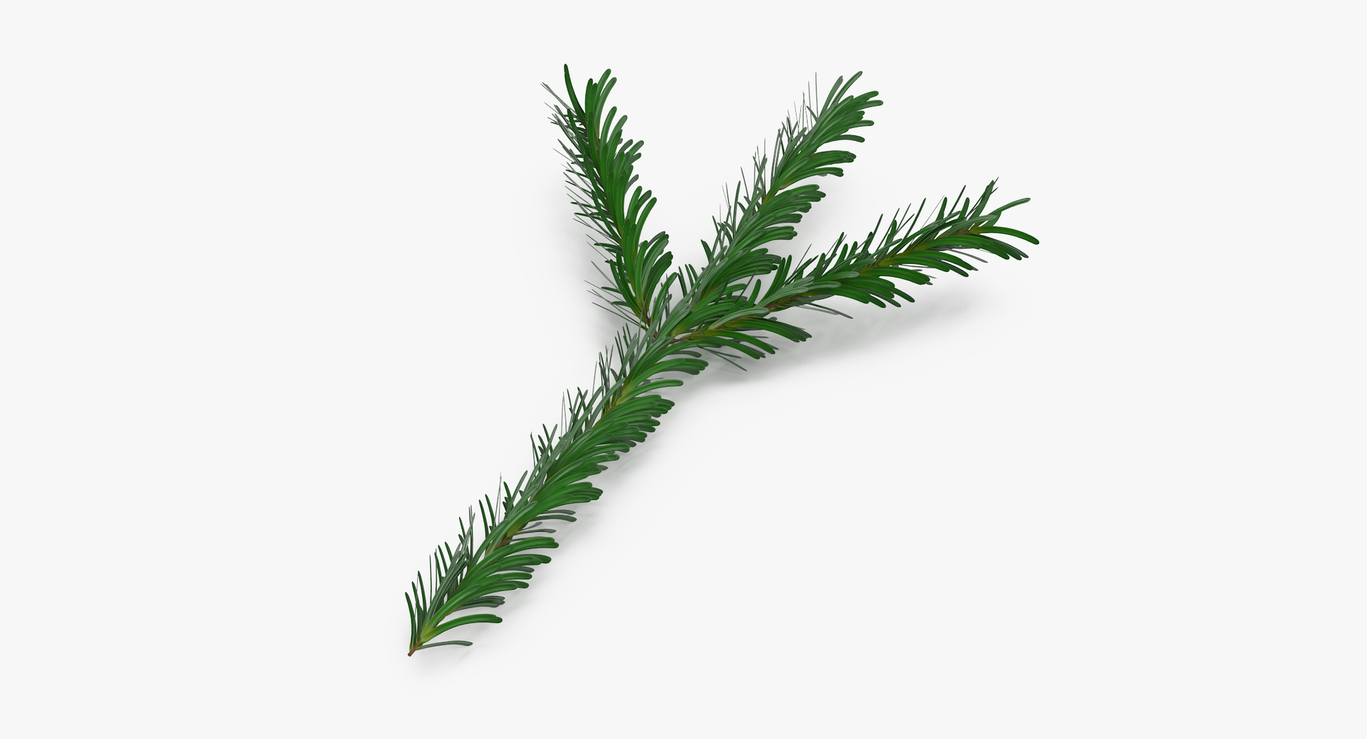 max pine tree sprig