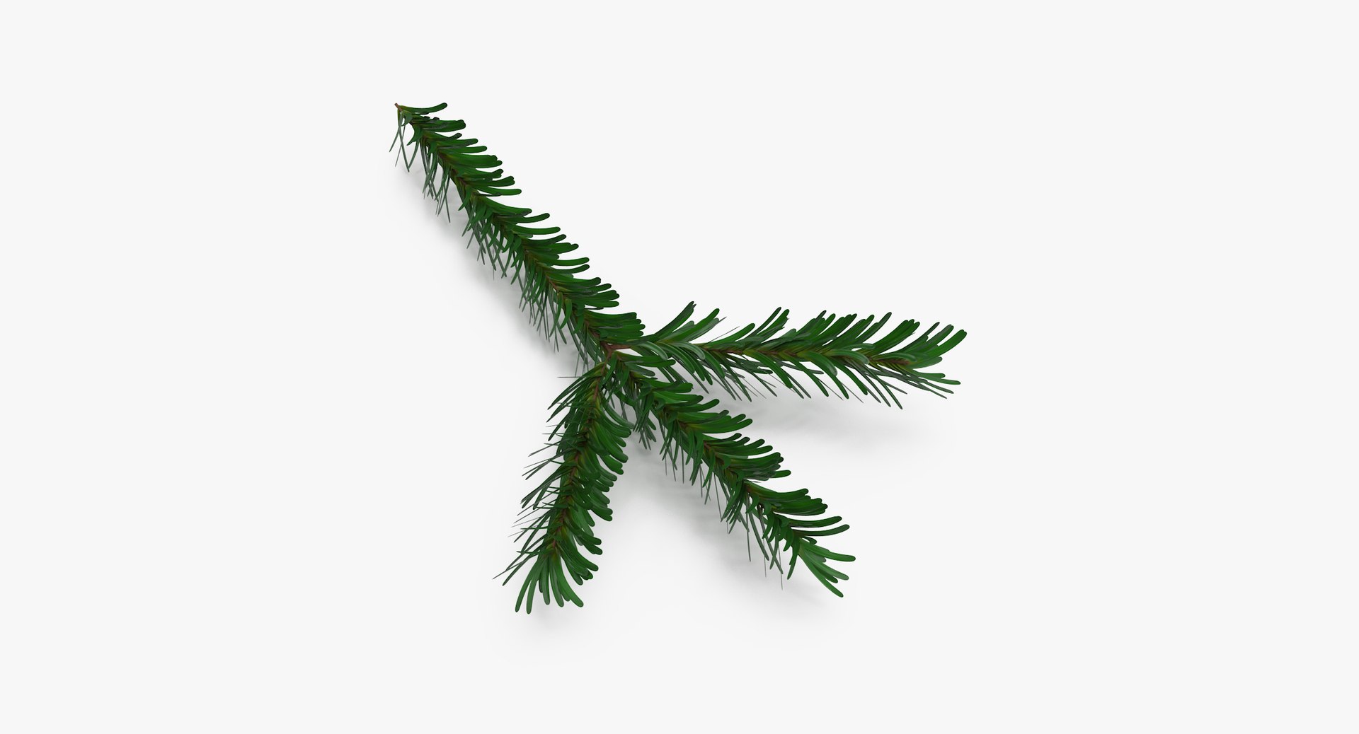 max pine tree sprig