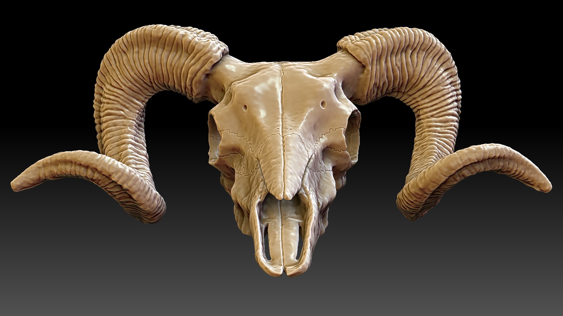 3d Ram Skull Pendant Print Model