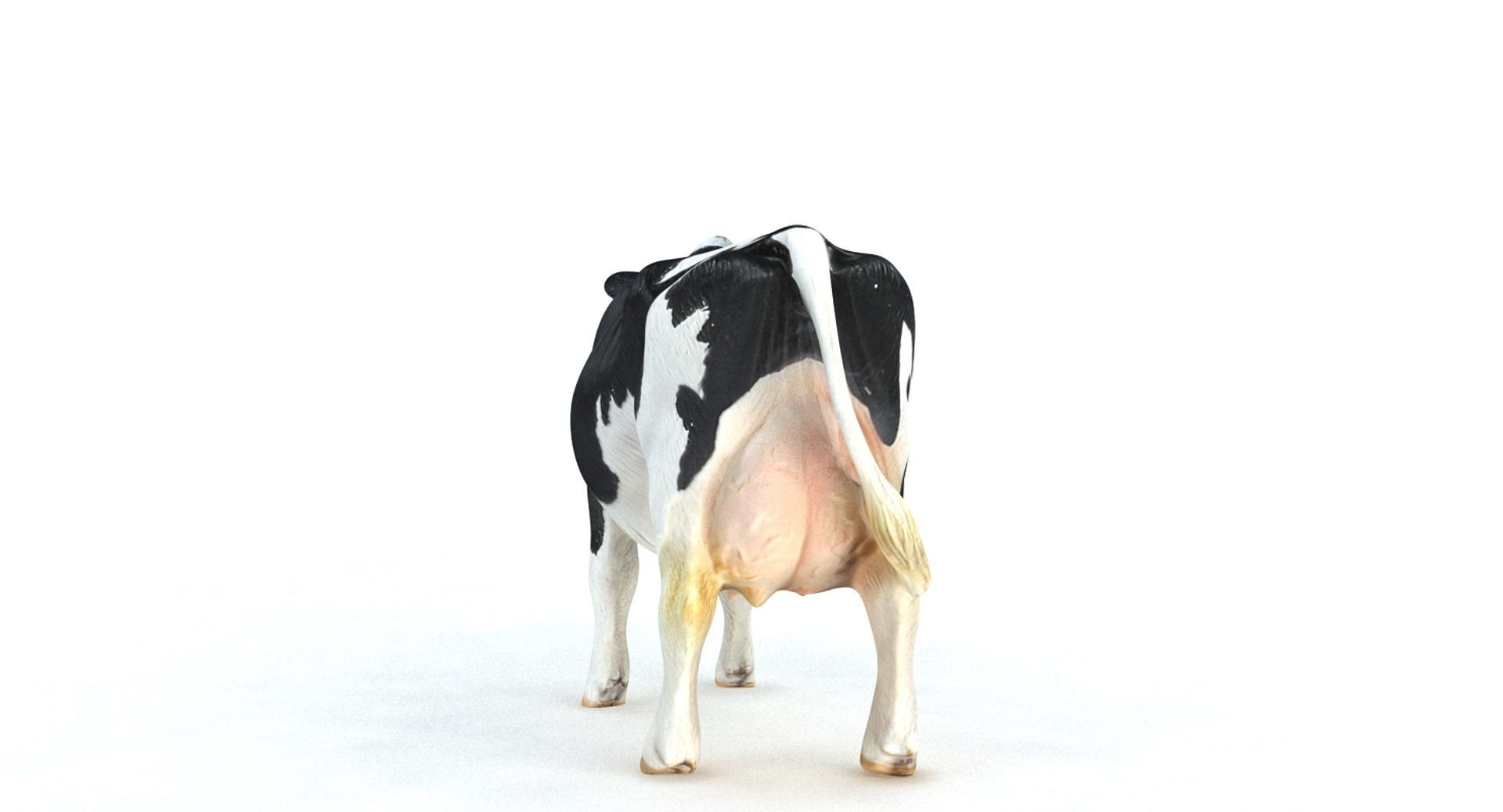 3d Cow Model