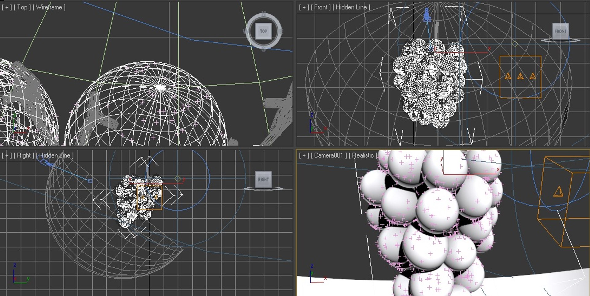 Grapes Subsurface Scattering