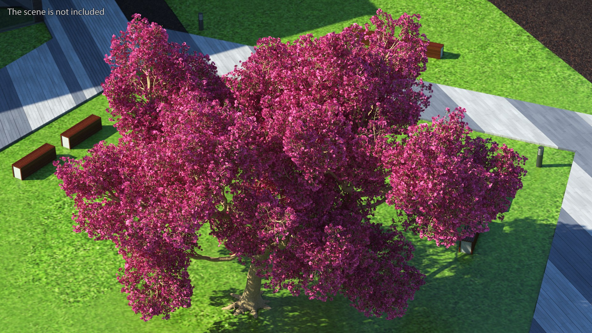 Tabebuia Avellanedae Tree 3D Model - TurboSquid 1732687
