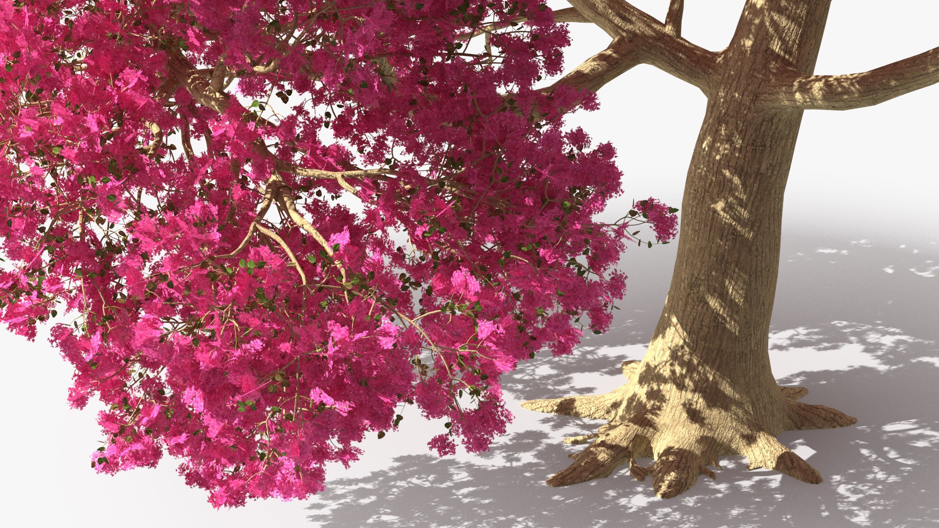 Tabebuia Avellanedae Tree 3D model - TurboSquid 1732687