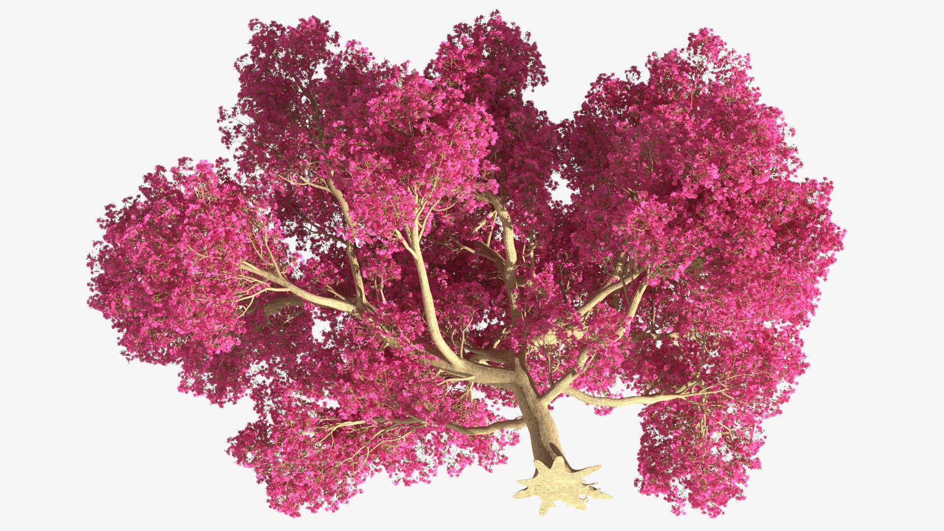 Tabebuia Avellanedae Tree 3D model - TurboSquid 1732687