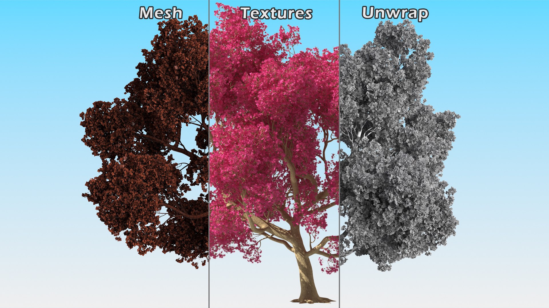 Tabebuia Avellanedae Tree 3D model - TurboSquid 1732687