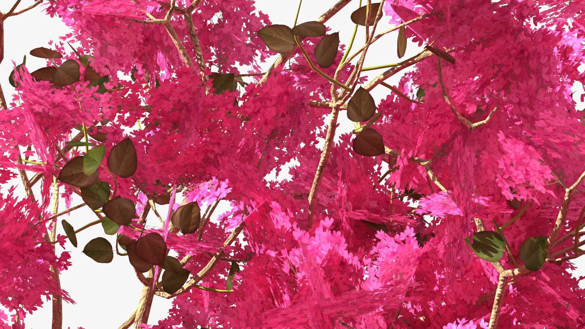 Tabebuia Avellanedae Tree 3D model - TurboSquid 1732687