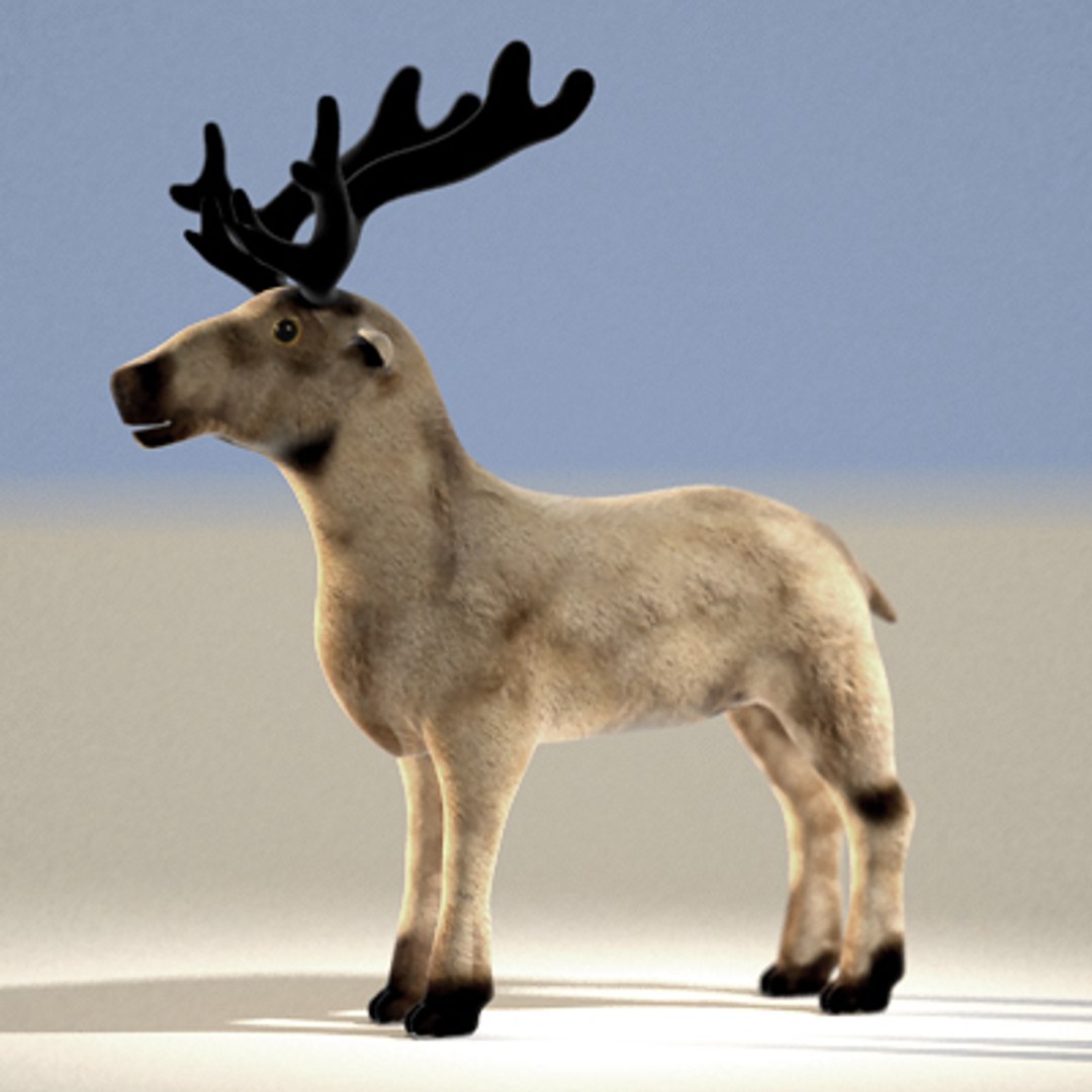 Reindeer Rudolph Santas 3d Model