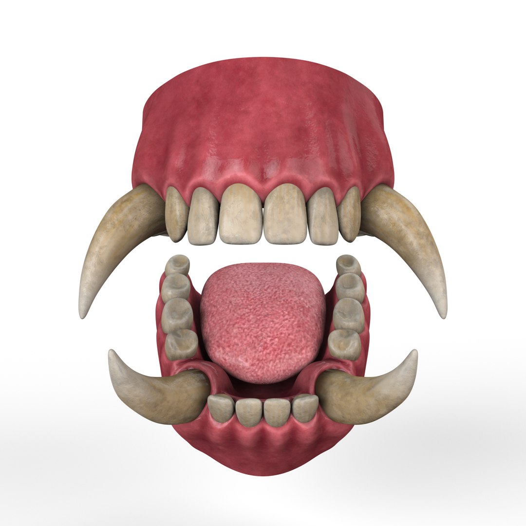3D Orc Teeth Model - TurboSquid 1981574