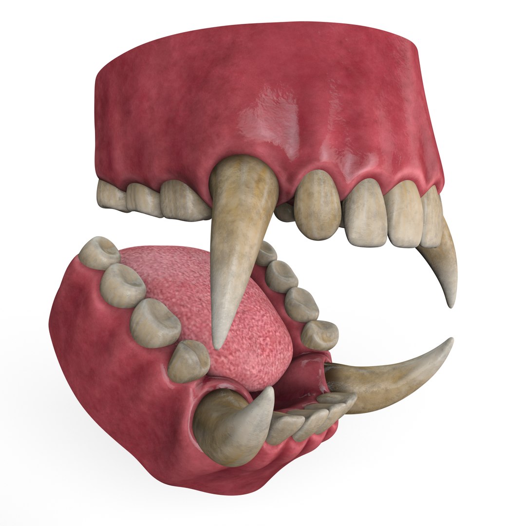 3D Orc Teeth Model - TurboSquid 1981574