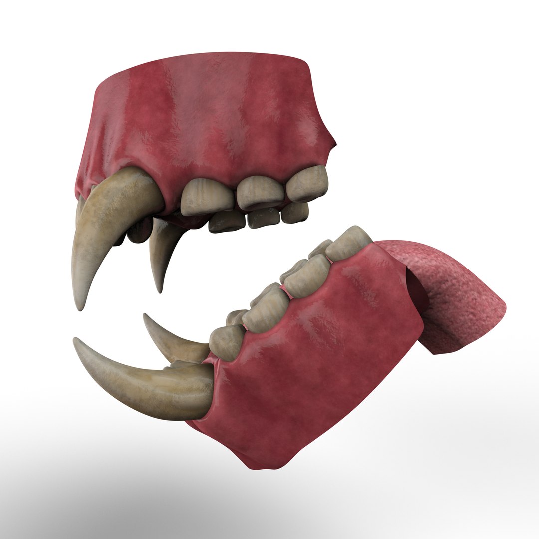 3D Orc Teeth Model - TurboSquid 1981574