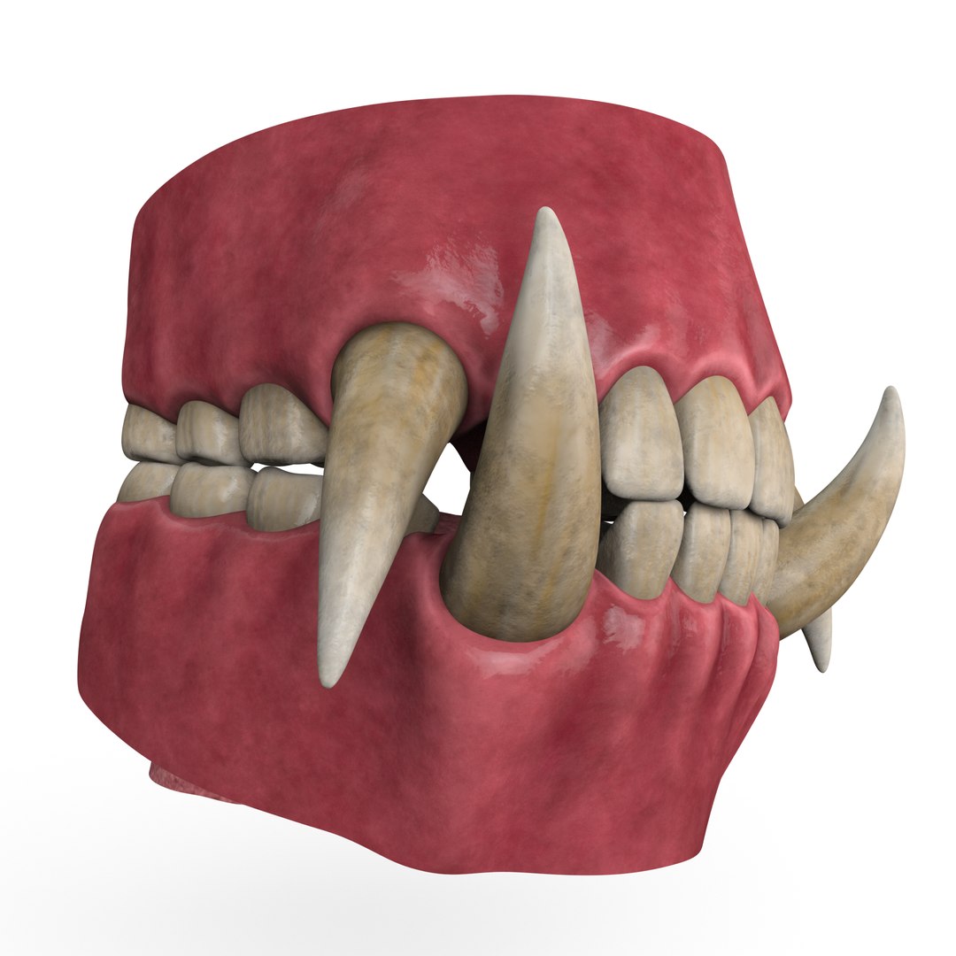 3D Orc Teeth Model - TurboSquid 1981574