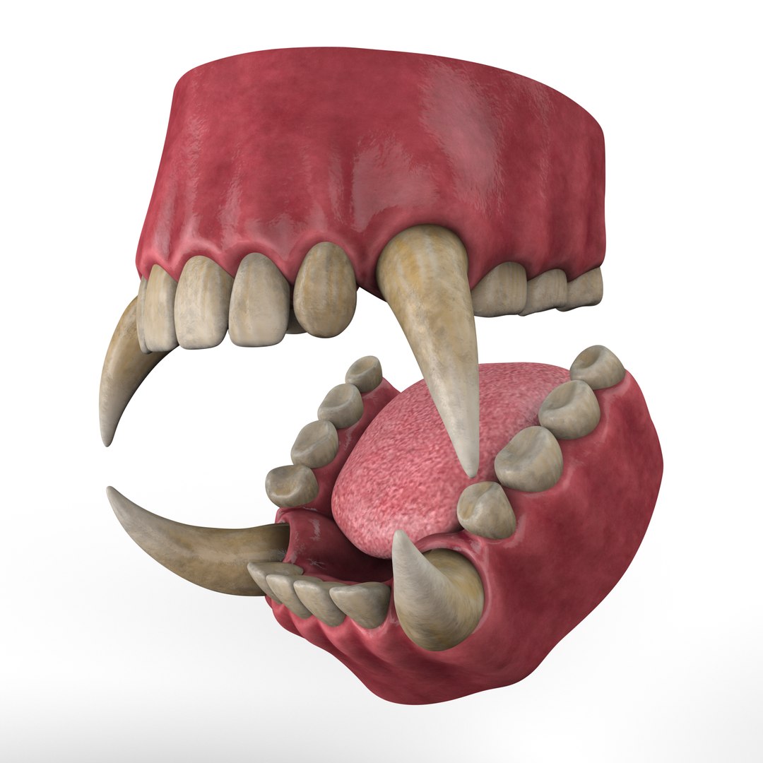 3D Orc Teeth Model - TurboSquid 1981574