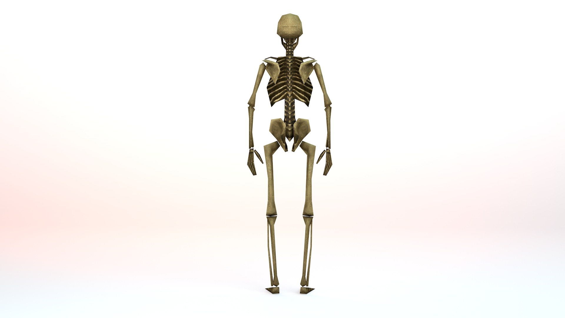 Human Skeleton Lowpoly 3D - TurboSquid 1828222