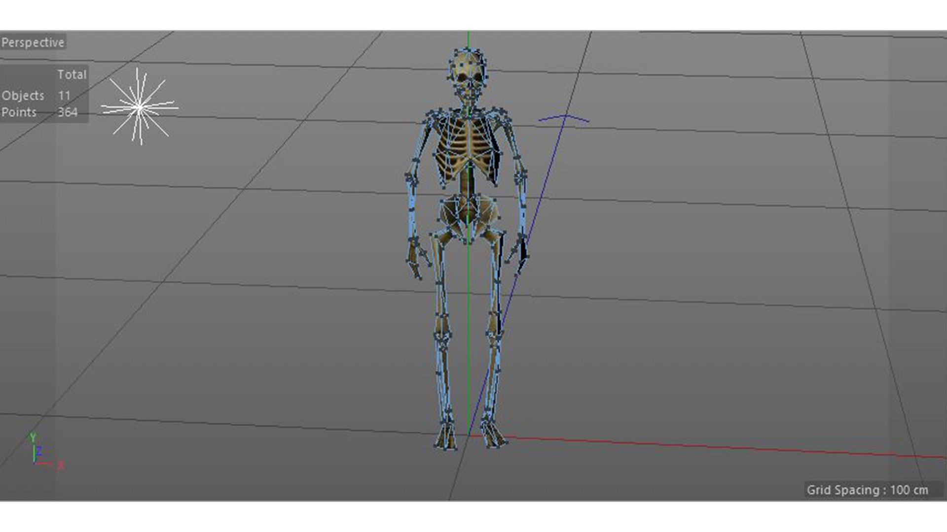 Human Skeleton Lowpoly 3D - TurboSquid 1828222