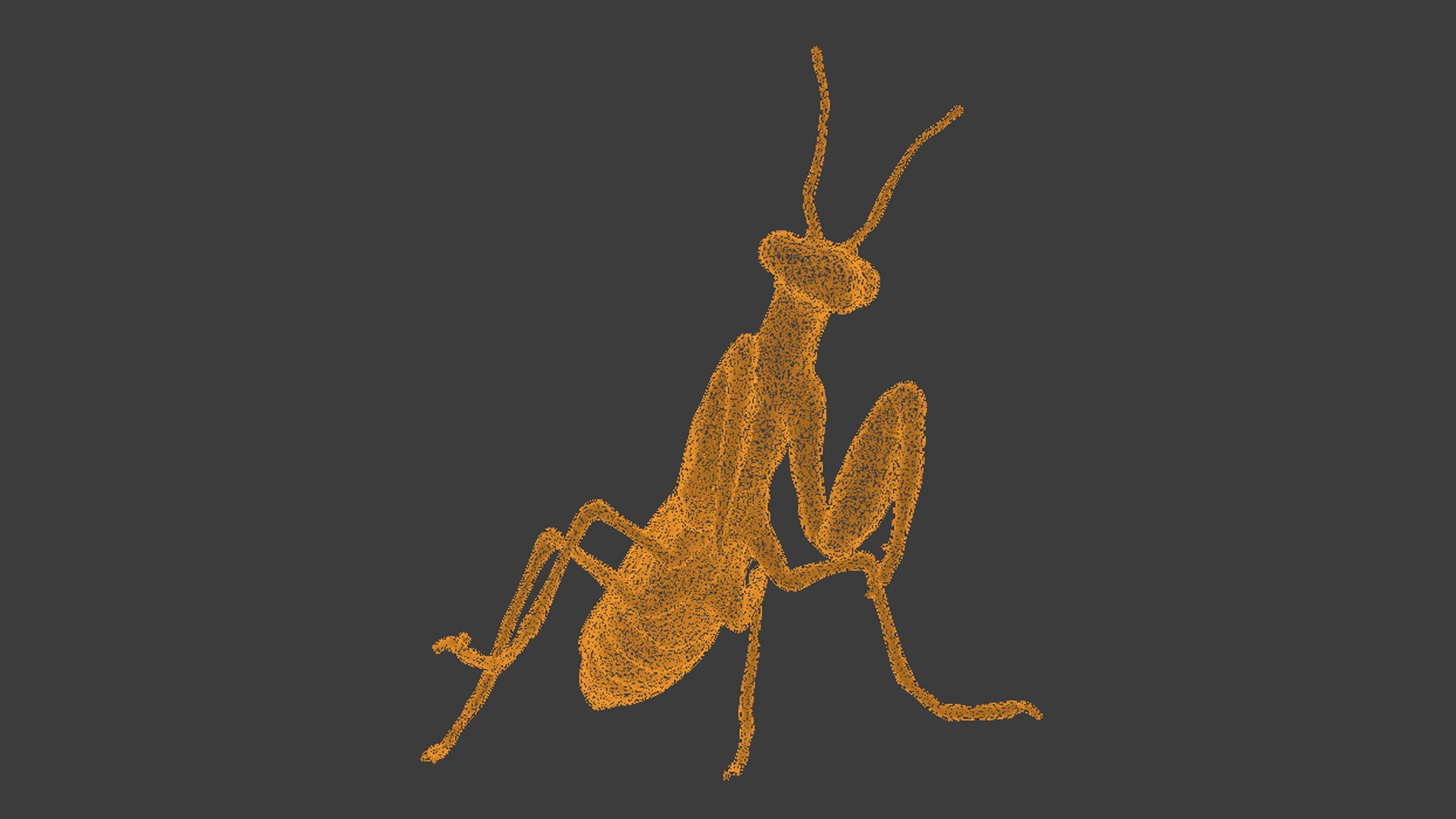 Praying Mantis 3D Model - TurboSquid 2323821