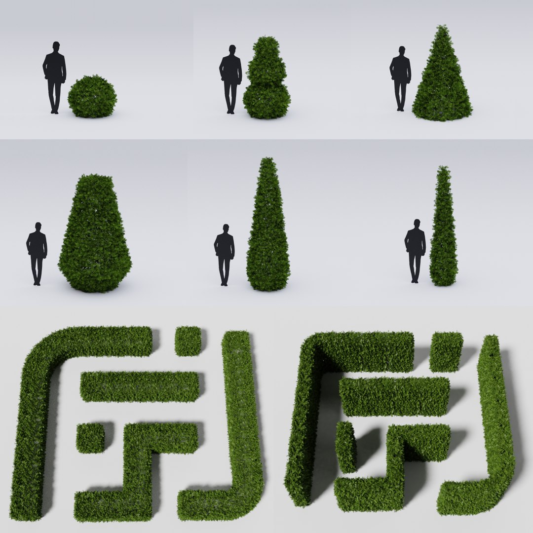 Boxwood Set V4 3D Model - TurboSquid 1869766