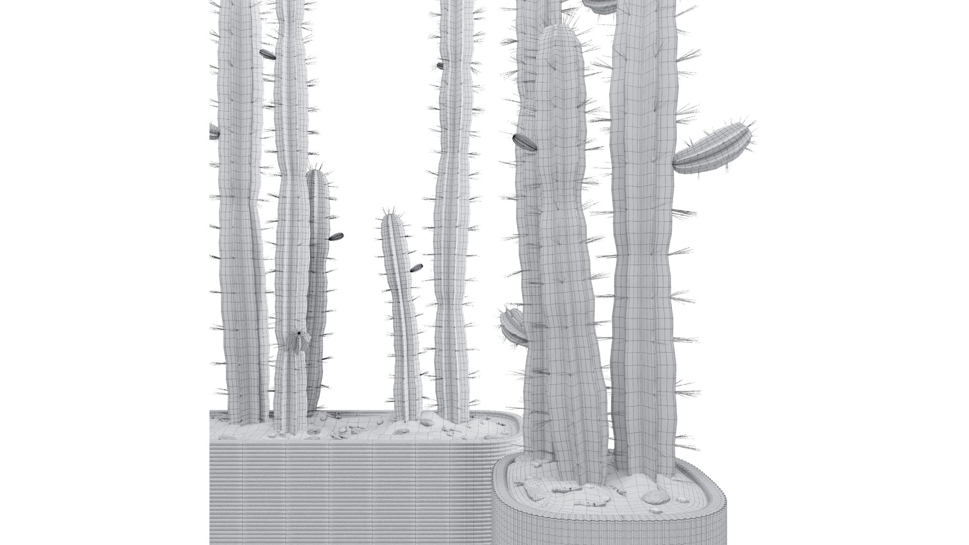 3D Cactus 69 - TurboSquid 2147451