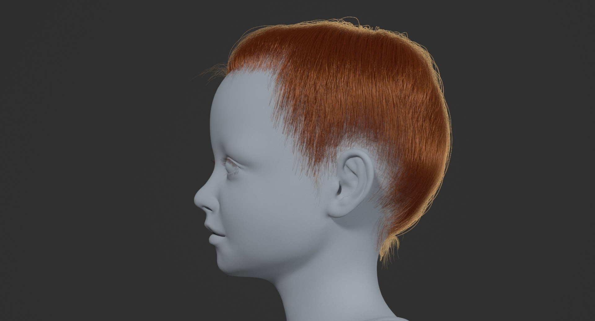 Realistic Hairstyle Hair Fur 3D Model - TurboSquid 1395565