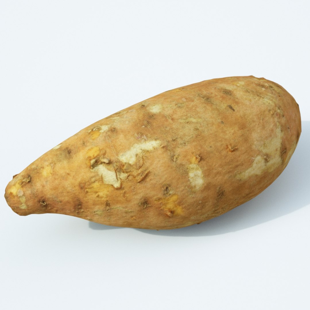Sweet potato model - TurboSquid 1385755
