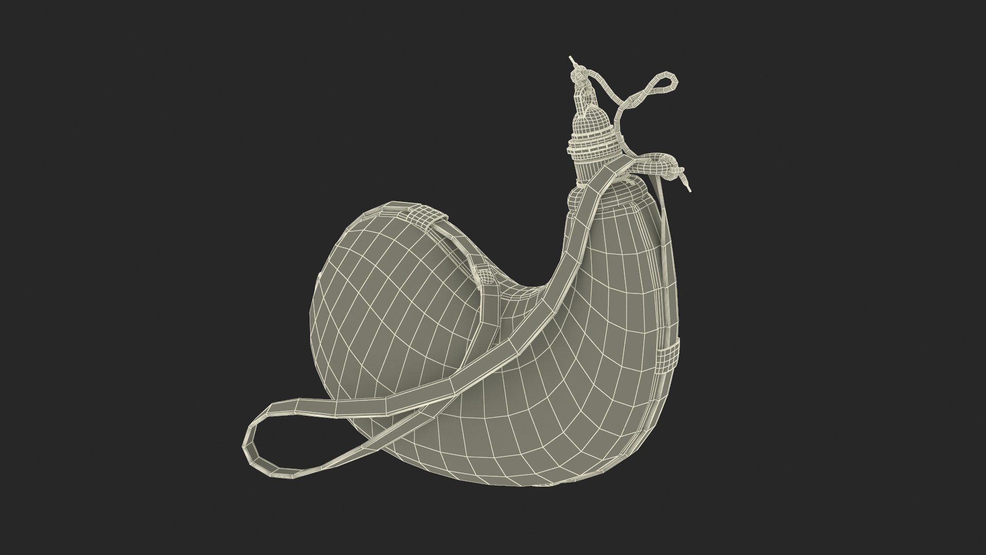 Leather Wineskin Brown 3D - TurboSquid 2190606